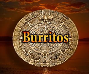 Chicken Burrito Sol Azteca – Sol Azteca Mexican Restaurant